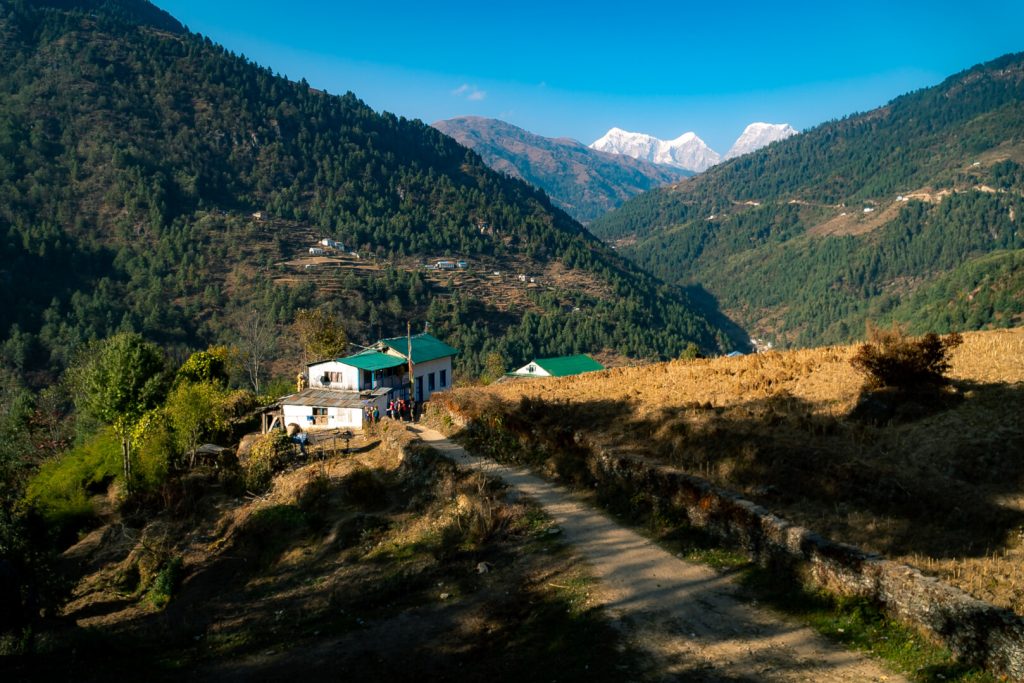 Planting 100,000 Fruit Trees in Nepal – The Juniper Trust